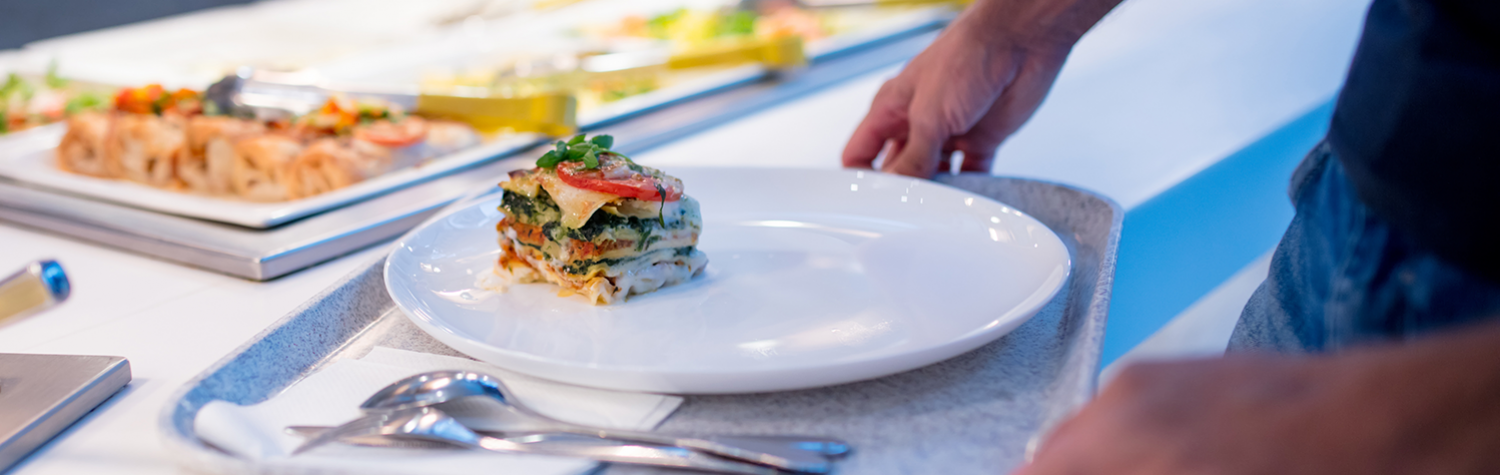 INSA Lyon | Institut National des Sciences Appliquées de Lyon | INSA Lyon